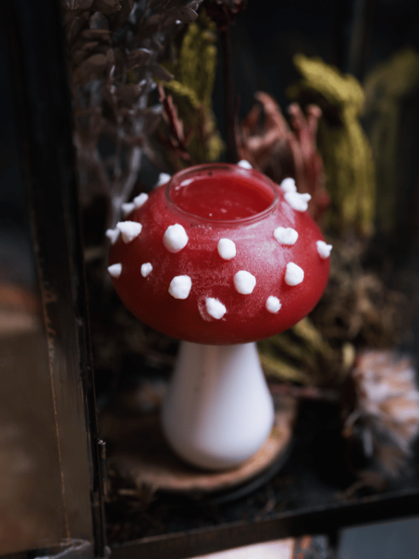 Cape Town Cocktail Week | Cause Effect Cocktail Kitchen